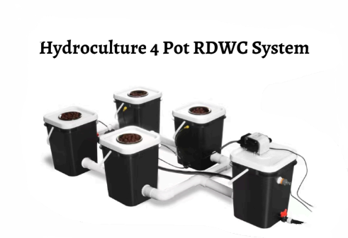 Hydro Culture RDWC System